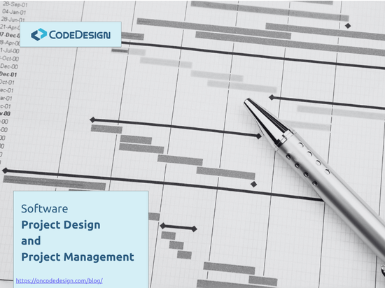 Project Design in Software Delivery: An Engineering Approach
